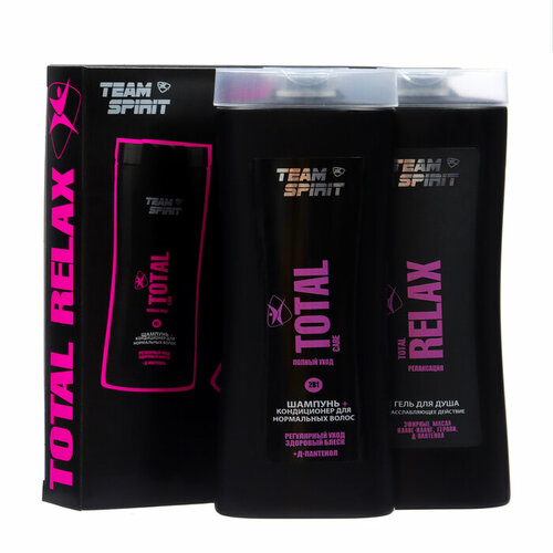 Подарочный набор мужской Team Spirit Total Relax: шампунь, 250 мл + кондиционер, 250 мл (комплект из 4 шт)