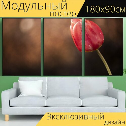 Модульный постер "Тюльпан, бутон, цветок" 180 x 90 см. для интерьера