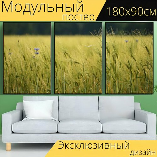 Модульный постер "Пшеничное поле, шип, кукурузное поле" 180 x 90 см. для интерьера