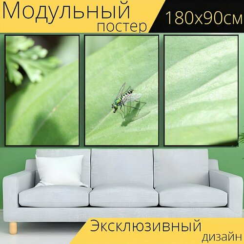 Модульный постер "Насекомое, жук, насекомое" 180 x 90 см. для интерьера