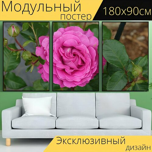 Модульный постер "Розовый парма, сад, весна" 180 x 90 см. для интерьера