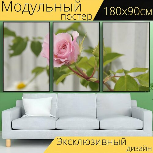 Модульный постер "Роза, цветок, любовь блум" 180 x 90 см. для интерьера