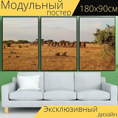 Модульный постер "Африке, кения, тсаво" 180 x 90 см. для интерьера
