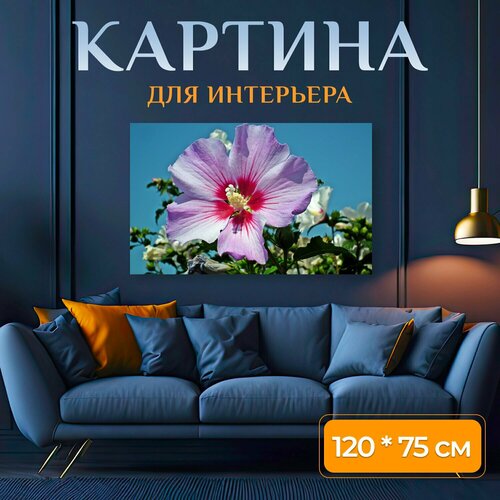 Картина на холсте "Гибискус, цветы, летом" на подрамнике 120х75 см. для интерьера