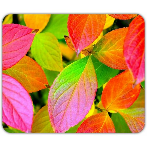 Коврик для мыши "Красивые цвета осенних листьев. Чудеса природы" (24 x 20 см x 3 мм)
