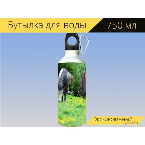 Бутылка фляга для воды "Пейзаж, шангрила, пудакуо" 750 мл. с карабином и принтом