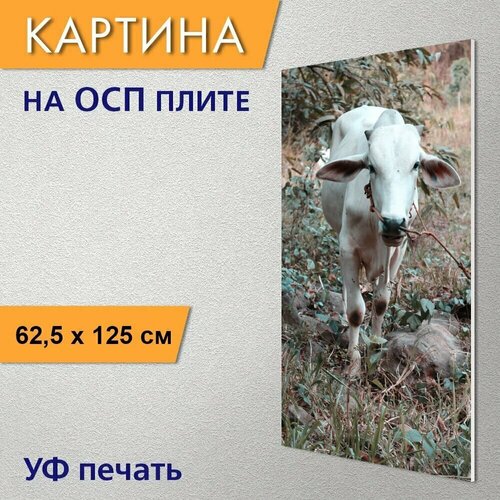 Вертикальная картина на ОСП "Корова, животные, белый" 62x125 см. для интерьериа