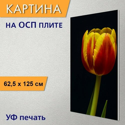 Вертикальная картина на ОСП "Тюльпан, цветок, завод" 62x125 см. для интерьериа