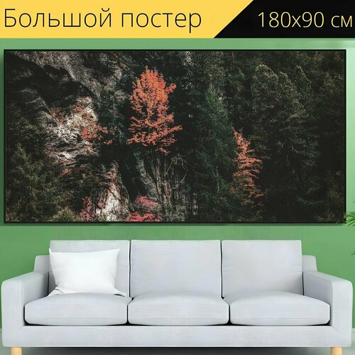 Большой постер "Камень, деревья, дикая жизнь" 180 x 90 см. для интерьера