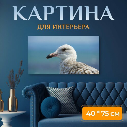 Картина на холсте "Чайка, морская птица, море" на подрамнике 75х40 см. для интерьера