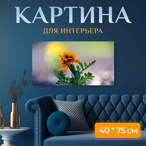 Картина на холсте "Студенческий цветок, цветок, бархатцы" на подрамнике 75х40 см. для интерьера
