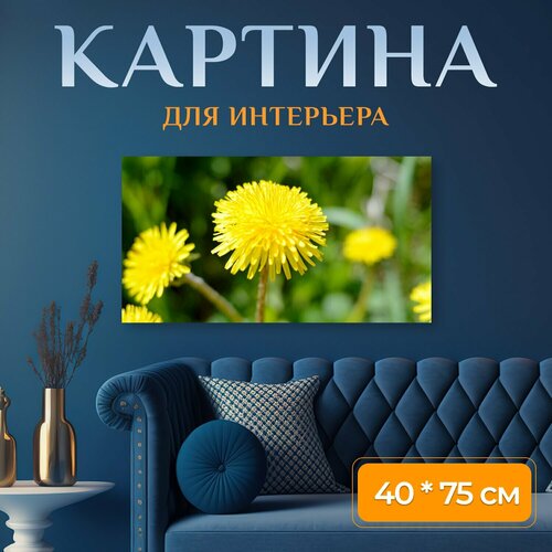 Картина на холсте "Одуванчик, цветы, флора" на подрамнике 75х40 см. для интерьера