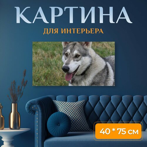 Картина на холсте "Волкодав, собака, закрывать" на подрамнике 75х40 см. для интерьера