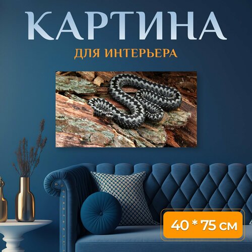 Картина на холсте "Змея, гадюка, весы" на подрамнике 75х40 см. для интерьера