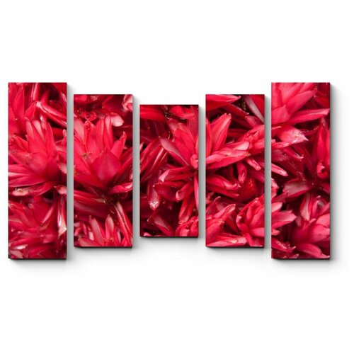 Модульная картина Красные тропические цветы160x96