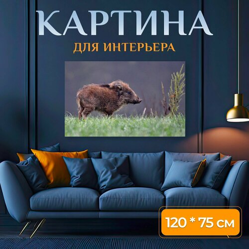 Картина на холсте "Кабан, дикие, млекопитающее" на подрамнике 120х75 см. для интерьера