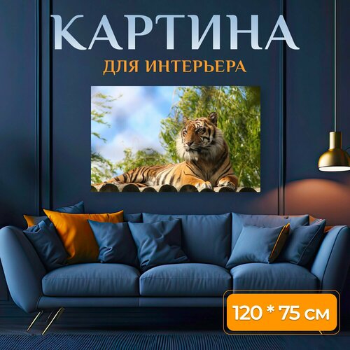 Картина на холсте "Тигр, зоопарк, животное" на подрамнике 120х75 см. для интерьера