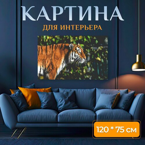 Картина на холсте "Тигр, большой кот, хищник" на подрамнике 120х75 см. для интерьера