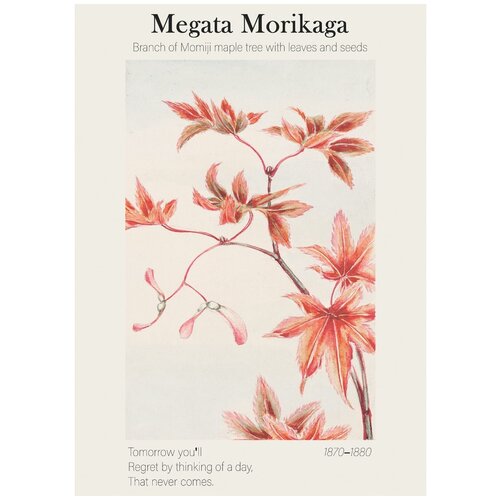 Постер / Плакат / Картина Японская живопись - Осенние листья 40x50 см в раме