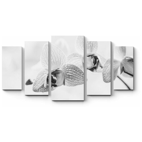 Модульная картина Черно-белые орхидеи 140x77