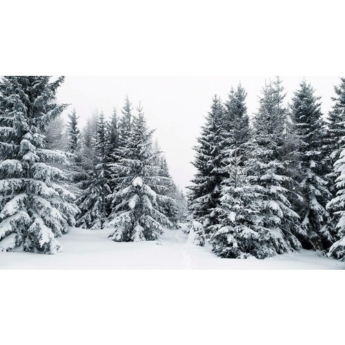Картина на холсте 60x110 LinxOne "Зима лес снег ёлки" интерьерная для дома / на стену / на кухню / с подрамником