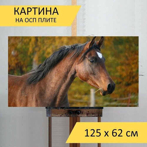 Картина на ОСП 125х62 см. "Лошадь, коричневый, жеребец" горизонтальная, для интерьера, с креплениями