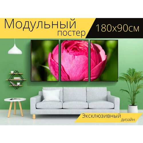 Модульный постер "Роза, помпонелла, благородная роза" 180 x 90 см. для интерьера