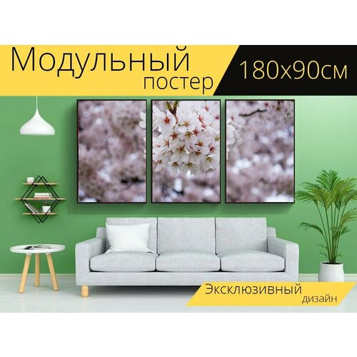 Модульный постер "Вишневое дерево, весна, полное цветение" 180 x 90 см. для интерьера