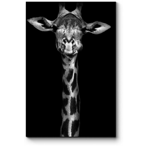 Модульная картина Монохромный жираф50x75