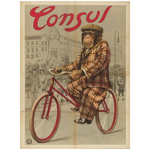 Постер / Плакат / Картина Велосипеды - Обезьяна на велосипеде Consul 50х70 см в раме