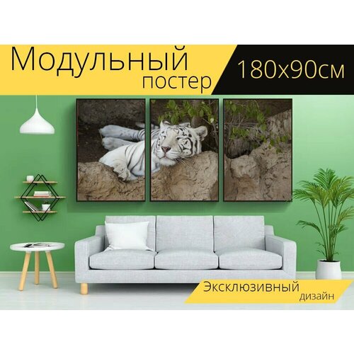 Модульный постер "Тигр, белый тигр, королевский тигр" 180 x 90 см. для интерьера
