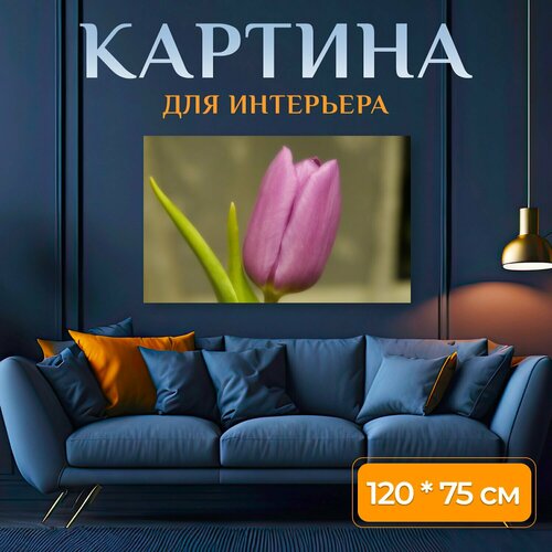 Картина на холсте "Тюльпан, цвести, весна" на подрамнике 120х75 см. для интерьера