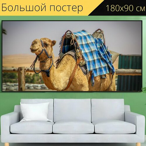 Большой постер "Верблюд, улыбающийся, счастливый верблюд" 180 x 90 см. для интерьера