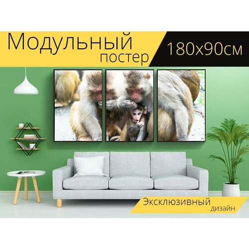 Модульный постер "Мать обезьяны, детка, обезьяна" 180 x 90 см. для интерьера