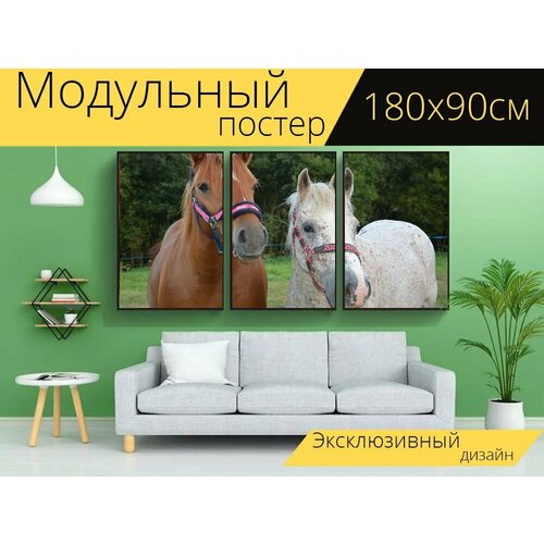 Модульный постер "Лошади, лошадь, кобыла" 180 x 90 см. для интерьера