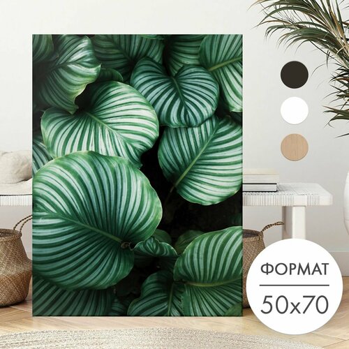 Плакат Постер 50х70 без рамки "Тропические зеленые листья" для интерьера