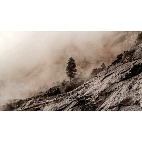 Картина на холсте 60x110 LinxOne "Дерево, скалы, туман, камни, каменный" интерьерная для дома / на стену / на кухню / с подрамником