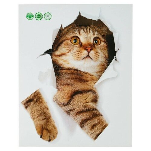 Наклейка 3Д интерьерная Кошка 25*20см