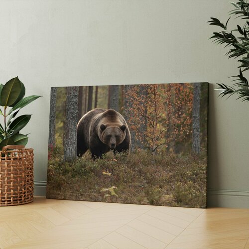 Картина на холсте "Большой бурый медведь идет по лесу" 20x30 см. Интерьерная, на стену.