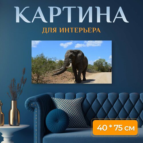 Картина на холсте "Южная африка, крюгер парк, слон" на подрамнике 75х40 см. для интерьера