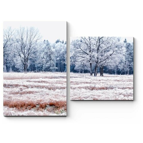Модульная картина Зимний снежный лес70x53