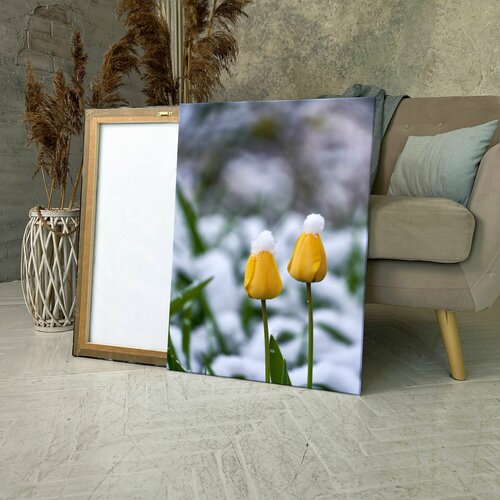 Картина на холсте (тюльпаны снег желтые на макро) 50x70 см/для интерьера/в комнату/на стену/в подарок