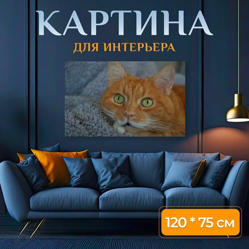 Картина на холсте "Кот, похмелье, кошачья любовь" на подрамнике 120х75 см. для интерьера