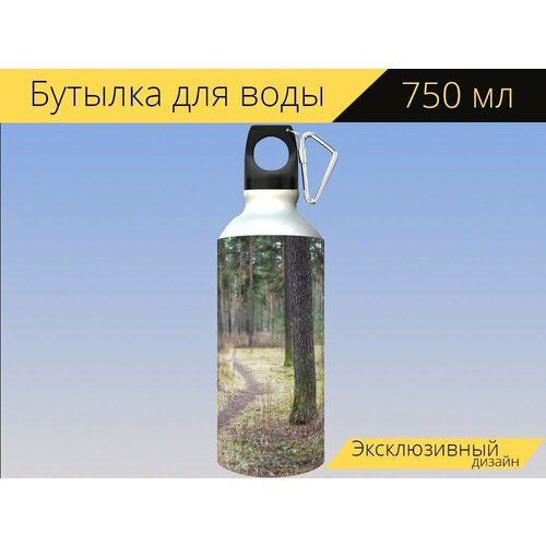 Бутылка фляга для воды "Лес, парк, прогулка" 750 мл. с карабином и принтом