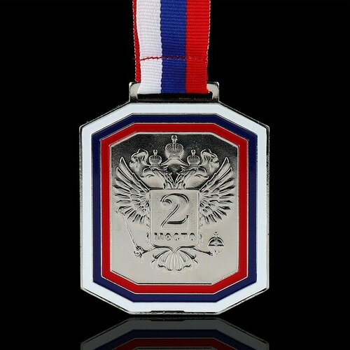 Медаль призовая, 2 место, серебро, 6 х 7 см ТероПром 9459267