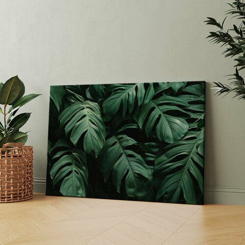 Картина на холсте (Тропические листья монстеры) 30x40 см. Интерьерная, на стену.