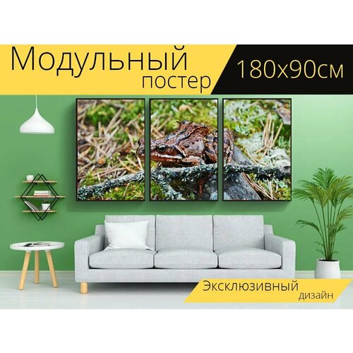 Модульный постер "Лягушка, жаба, сидя" 180 x 90 см. для интерьера
