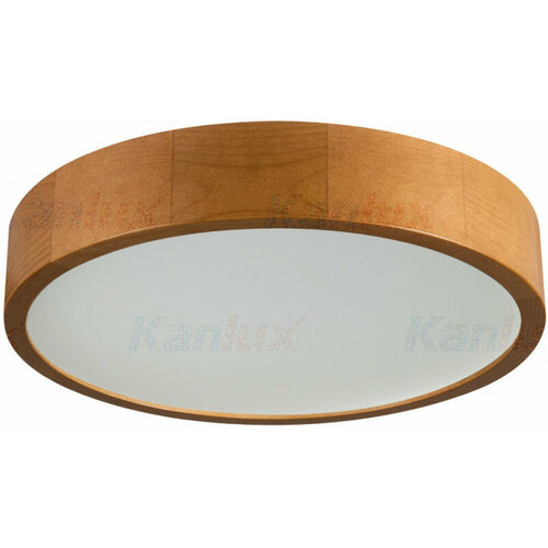 Потолочный светильник Kanlux Jasmin 36441