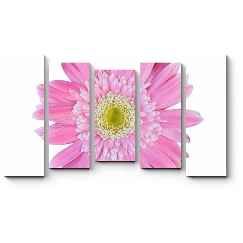 Модульная картина Ярко-розовая гербера150x90