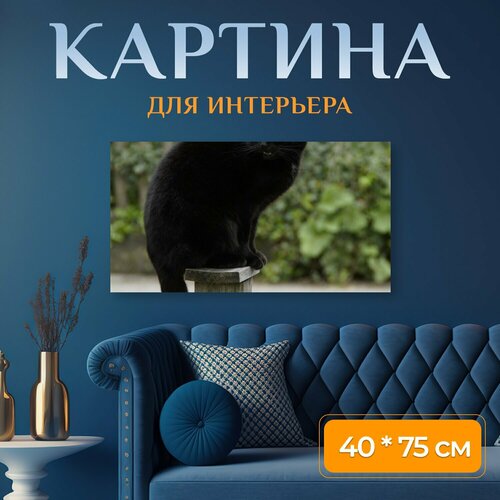 Картина на холсте "Кот, чернить, черный кот" на подрамнике 75х40 см. для интерьера